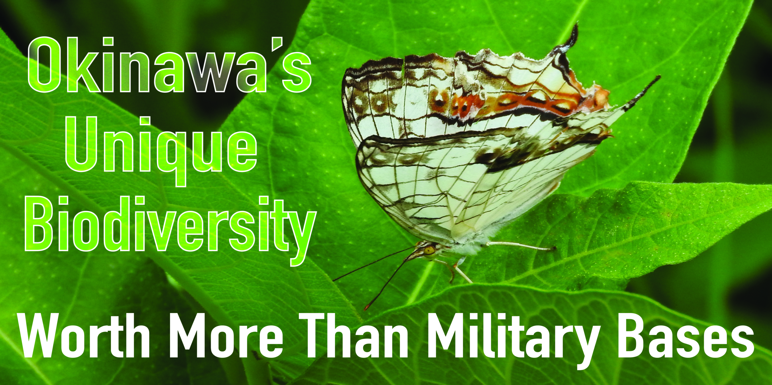 Your Voice Counts! Save people and biodiversity in Takae, Okinawa | 国際 ...