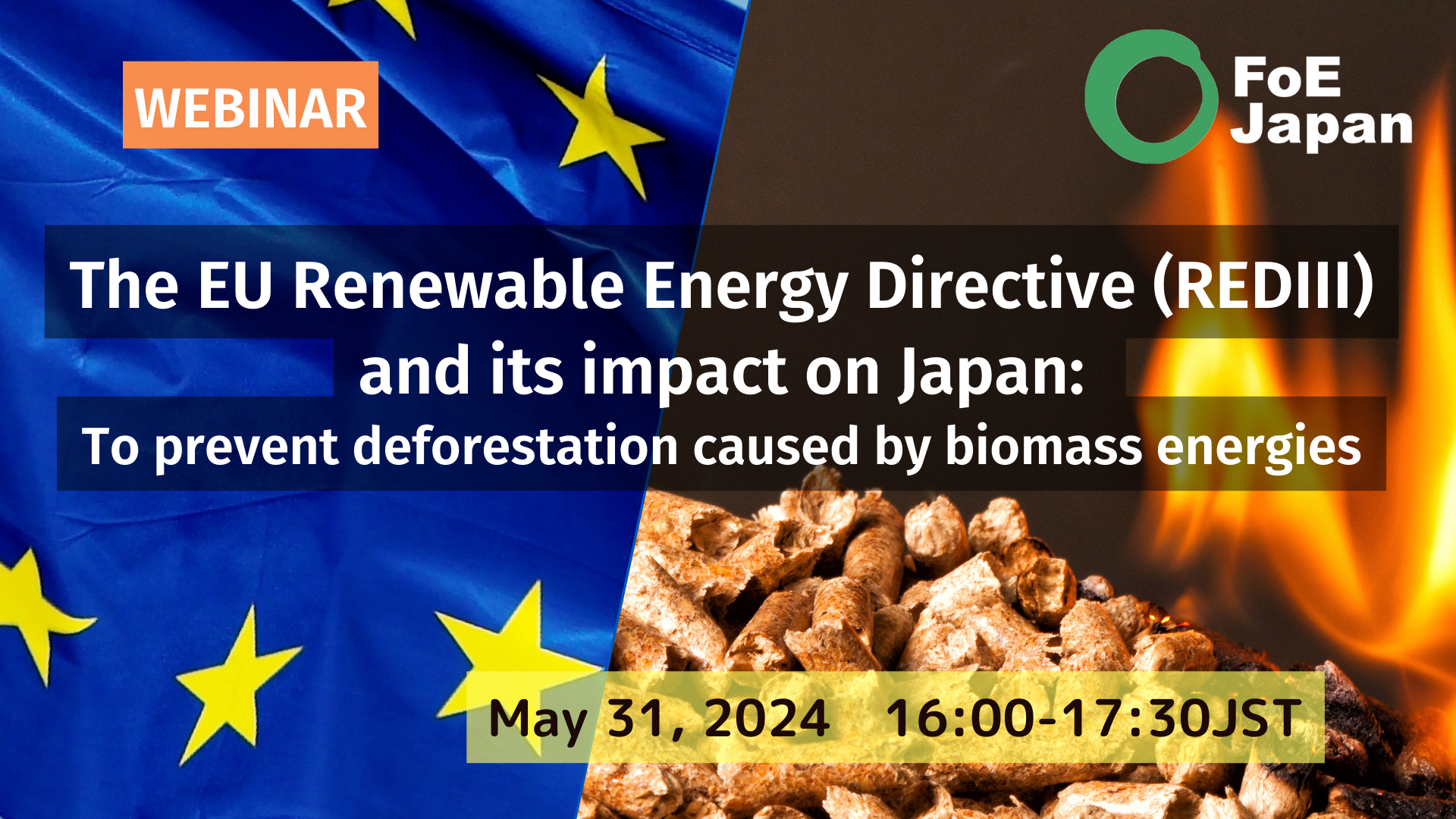 Webinar: The EU Renewable Energy Directive (REDIII) and its impact on ...